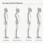 Low Back Pain Cause – Prolonged Sitting – Revive Touch